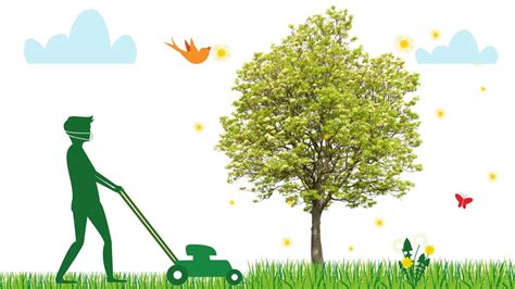 📌 ზაფხულის დასაწყისი დაკავშირებულია ბალახებისა და მარცვლოვნების ზაფხულის ბოლო კი სარეველების