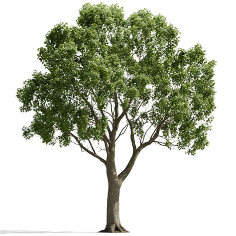 Archmodels Vol 255 Model Turbosquid 1794466