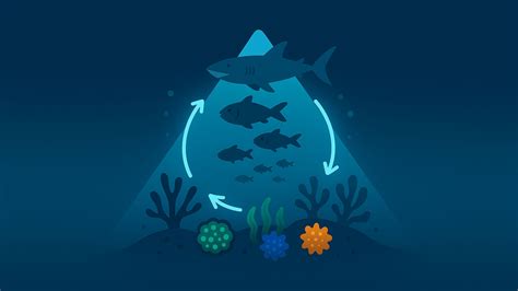 Mckinsey Ecosystem Building Collections Psg Cracked