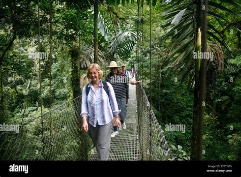 Hikers At The Arenal Rainforest Reserve Walking On A Hanging Bridge La