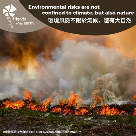 Tnfd Foe Hk Green Finance Blog