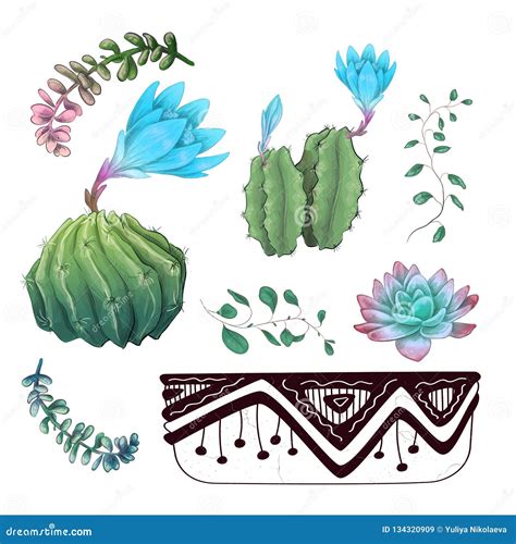 Sistema En Conserva De La Colección De La Insignia De Las Plantas De