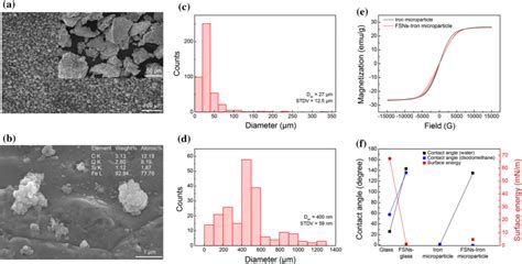 Characterization Of Modified Iron Particles A Sem Image Of Modified