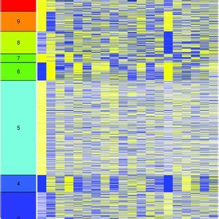 Clustered Experiments K Means Clustering K Was Used To Cluster Download Scientific