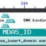 CDD Results Indicating Sequence Location And Boundaries Download Scientific Diagram