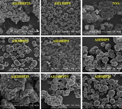 The Sem Micrographs Of The Native And Dual Modified Sago Starch By Acid Download Scientific