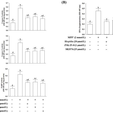 Hispidin Reduces Caspase Mediated Apoptosis Induced By Mpp⁺ Ms23 5 Download Scientific Diagram