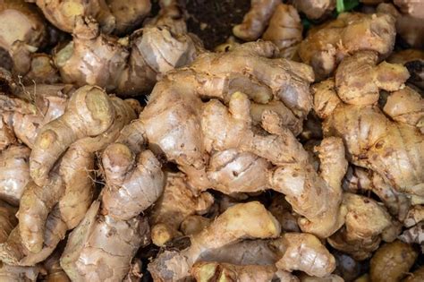 Premium Photo Fresh Organic Ginger From Farm Close Up From Different