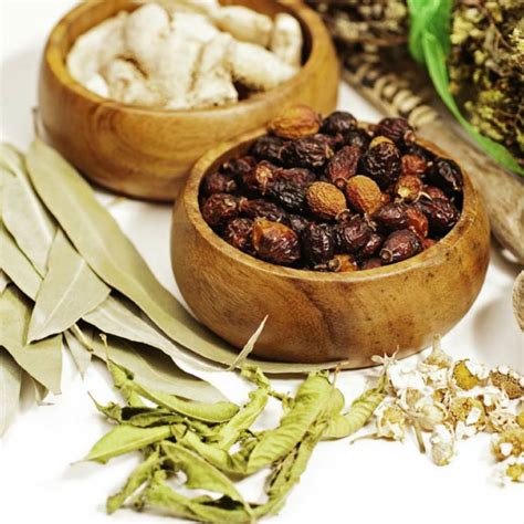 Revista FactorRH Medicina ancestral una opción saludable