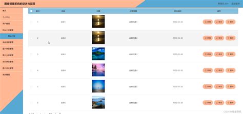 Springboot毕设项目图像管理系统的设计与实现50arr（javavuemybatismavenmysql）spring