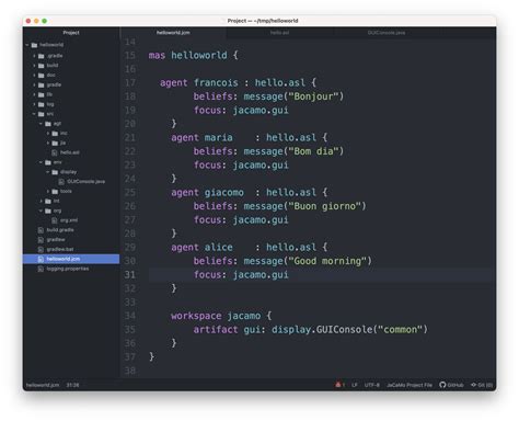 Hello Jacamo And Multi Agent World