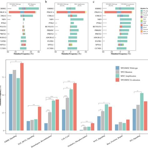 Differentially Mutated Genes And Molecular Signaling Pathways A Gene