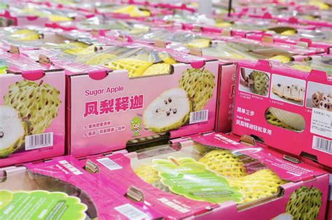 鳳梨釋迦成功登「陸」 饒慶鈴親推「臺東果寶」 觀傳媒