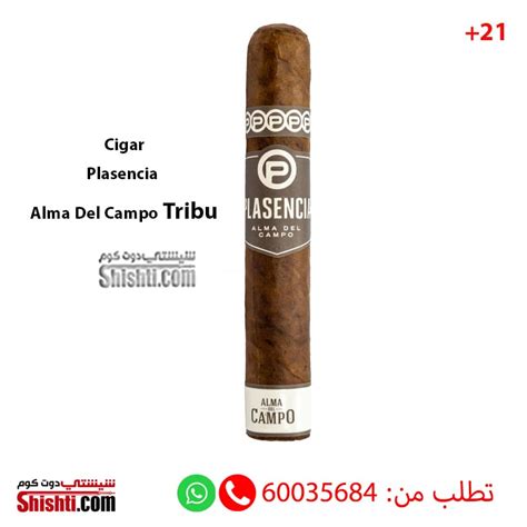 Cigar Plasencia Alma Del Campo Tribu Shishti Kuwait
