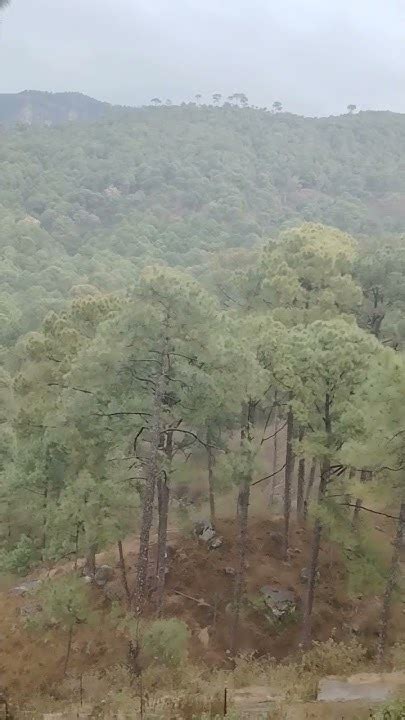 Kumauni Song Youtube