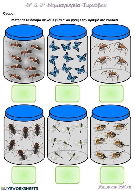 Insect Jar Labeling Activity For Preschoolers