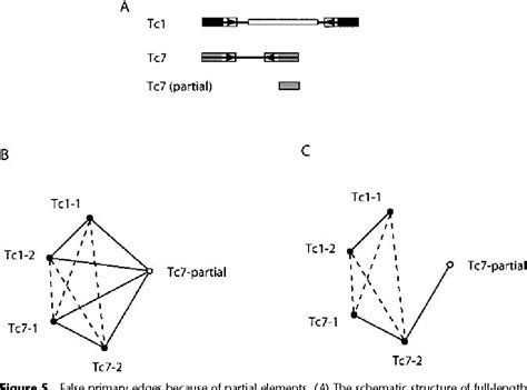 Figure 5 From Automated De Novo Identification Of Repeat Sequence