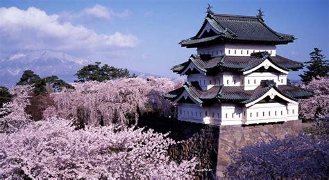 Where To See Sakura In Japan Top Hanami Spots In Hokkaido Tokyo Nara And More Robb Report