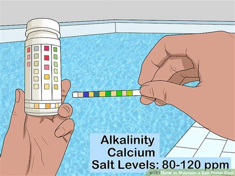 3 Ways To Maintain A Salt Water Pool Wikihow