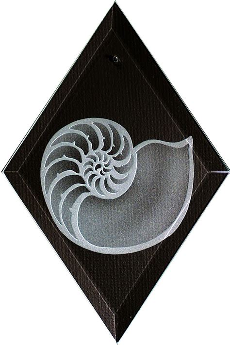 Carved Glass Nautilus Shell Hanging Suncatcher Etsy