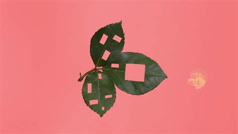 Nonesuch Records Caroline Shaw And Sō Percussion “rectangles And