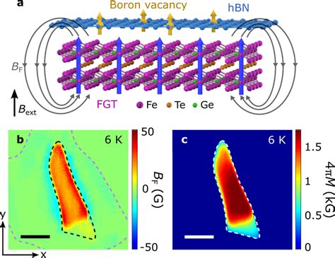 Wide Field Imaging Of Magnetization Of An Exfoliated Fgt Flake By