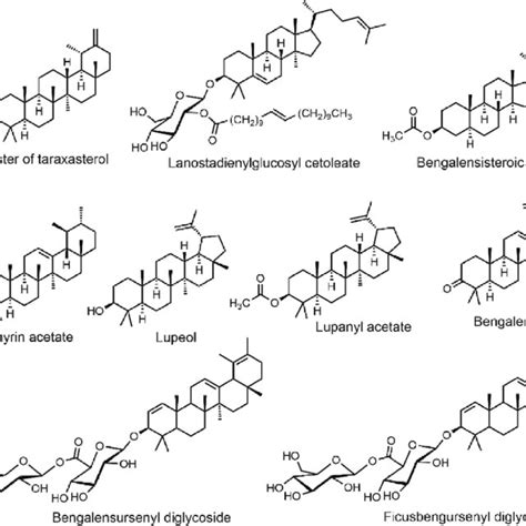 Chemical Structures Of Triterpenoids And Steroids Download Scientific Diagram
