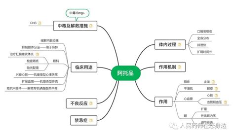 阿托品山莨菪碱间苯三酚匹维溴铵四种胃肠解痉药该怎么选