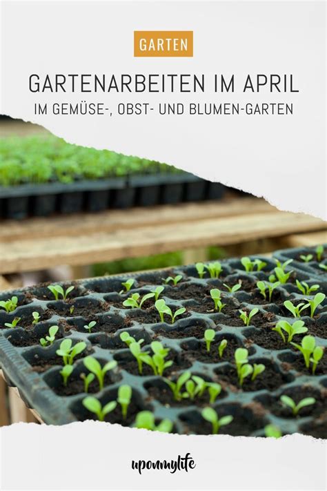 Gartenarbeiten Im April Uponmylife