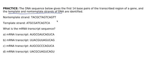 Dna Base Sequence
