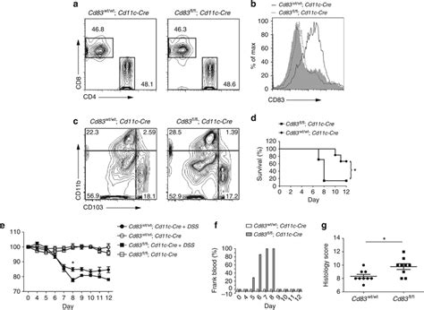 Knockout Of Cd83 In Dendritic Cells Dcs Exacerbates Colitis A