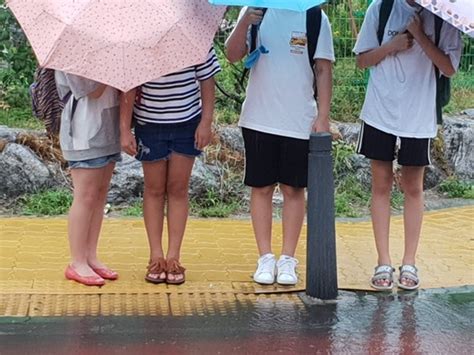개학 시즌엔 교통안전이 최우선 정책뉴스 뉴스 대한민국 정책브리핑