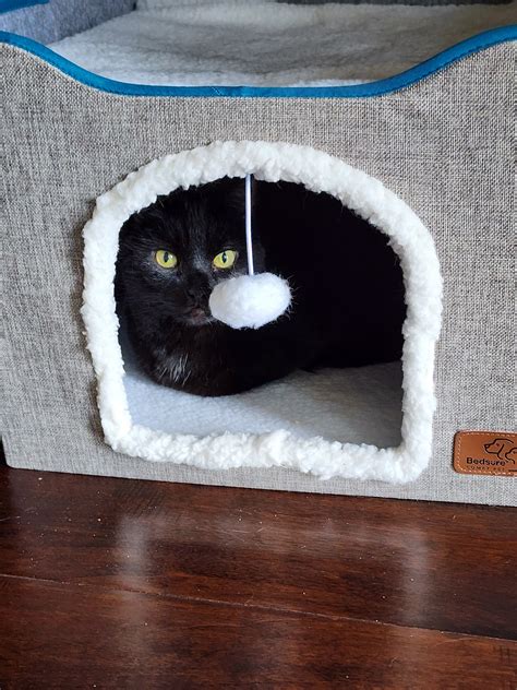 Enjoying Her New Hidey Hole R Eyesofthevoid