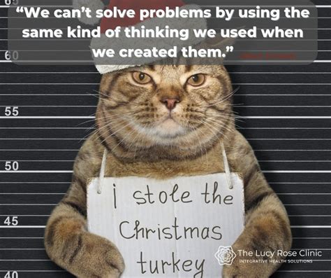 The Lucy Rose Clinic On Linkedin 🌟we Cant Solve Problems By Using The