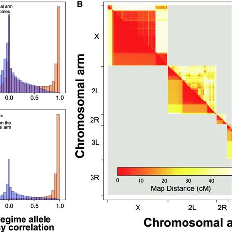 Correlations Of Allele Frequencies Between Candidate Snps Indicate