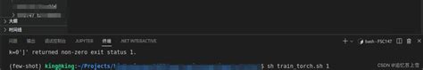 Vscode终端宽度调整与配置优化 Csdn博客