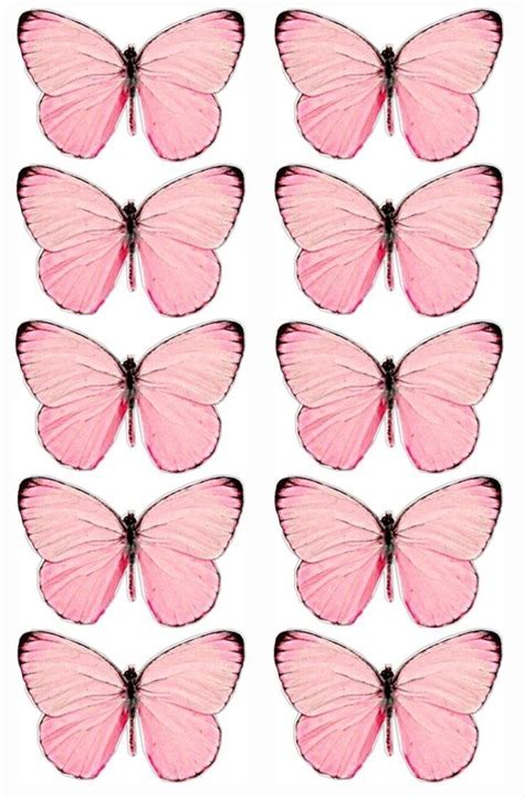 Pin By Katyarodionova On Торты и идеи Butterfly Cake Topper Paper