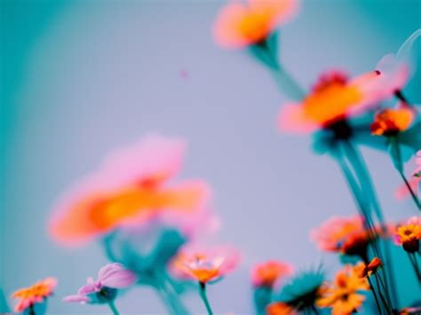 New Ai Features On Android Foldables And Devices Android