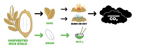 Biocarbon — Glanris Biocarbon Biochar
