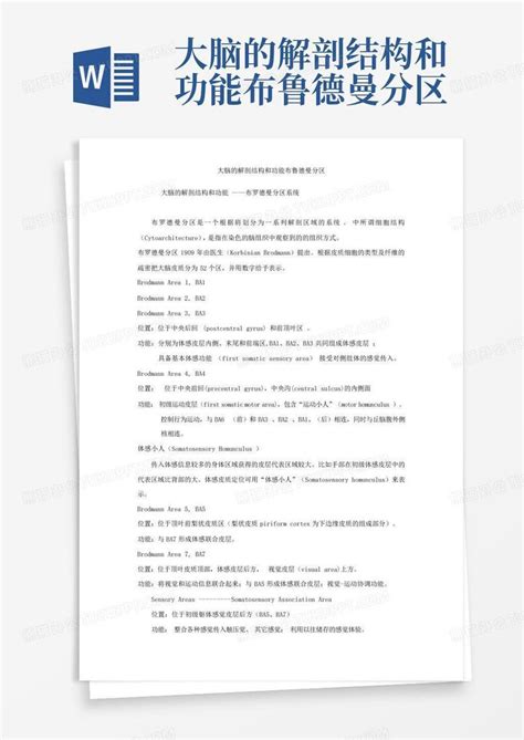 大脑的解剖结构和功能布鲁德曼分区Word模板下载 编号qnddnydd 熊猫办公