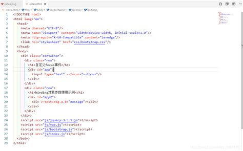 Vue 在自定义指令的时候警告 Vue Warn Property Or Method V Is Not Defined On The