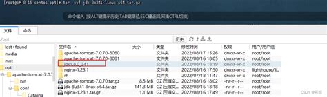 Linux安装jdk的详细步骤 linux jdk安装 CSDN博客