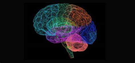 DANA y embarazo así afecta al desarrollo cerebral de los bebés