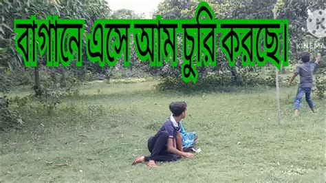 বাগানে বসে আম চুরি। Youtube