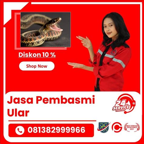 Jasa Pembasmi Ular Semarang Gan Pestcon
