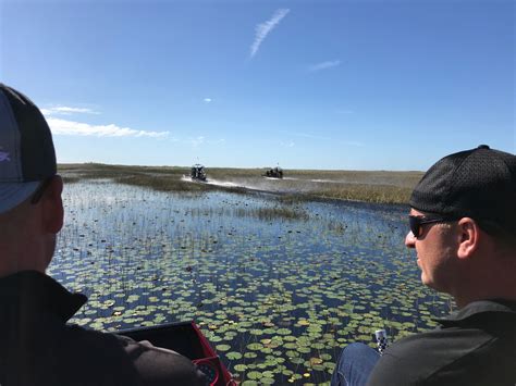 Everglades Drowning From 2017 Hurricane Season