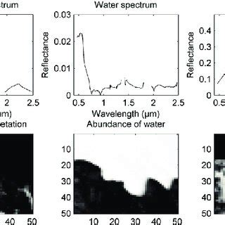 Top The R Endmembers Estimated By The Unsupervised Algorithm In