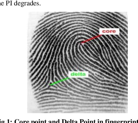 Fingerprints Fingerprint Classification Flashcards Quizlet