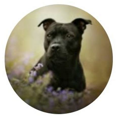 Stream Kyron Holaway Music Listen To Songs Albums Playlists For