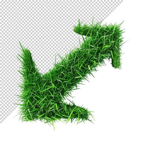 La Hierba Aislada Sobre Un Fondo Transparente PSD Premium Generado Con IA